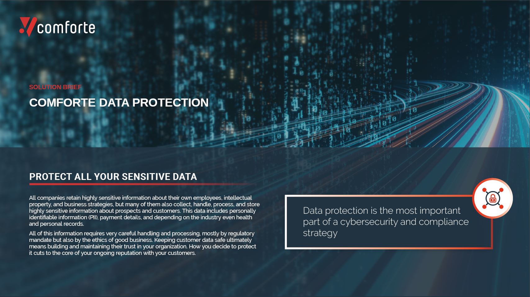 Solution Brief: Sensitive Data Protection | comforte